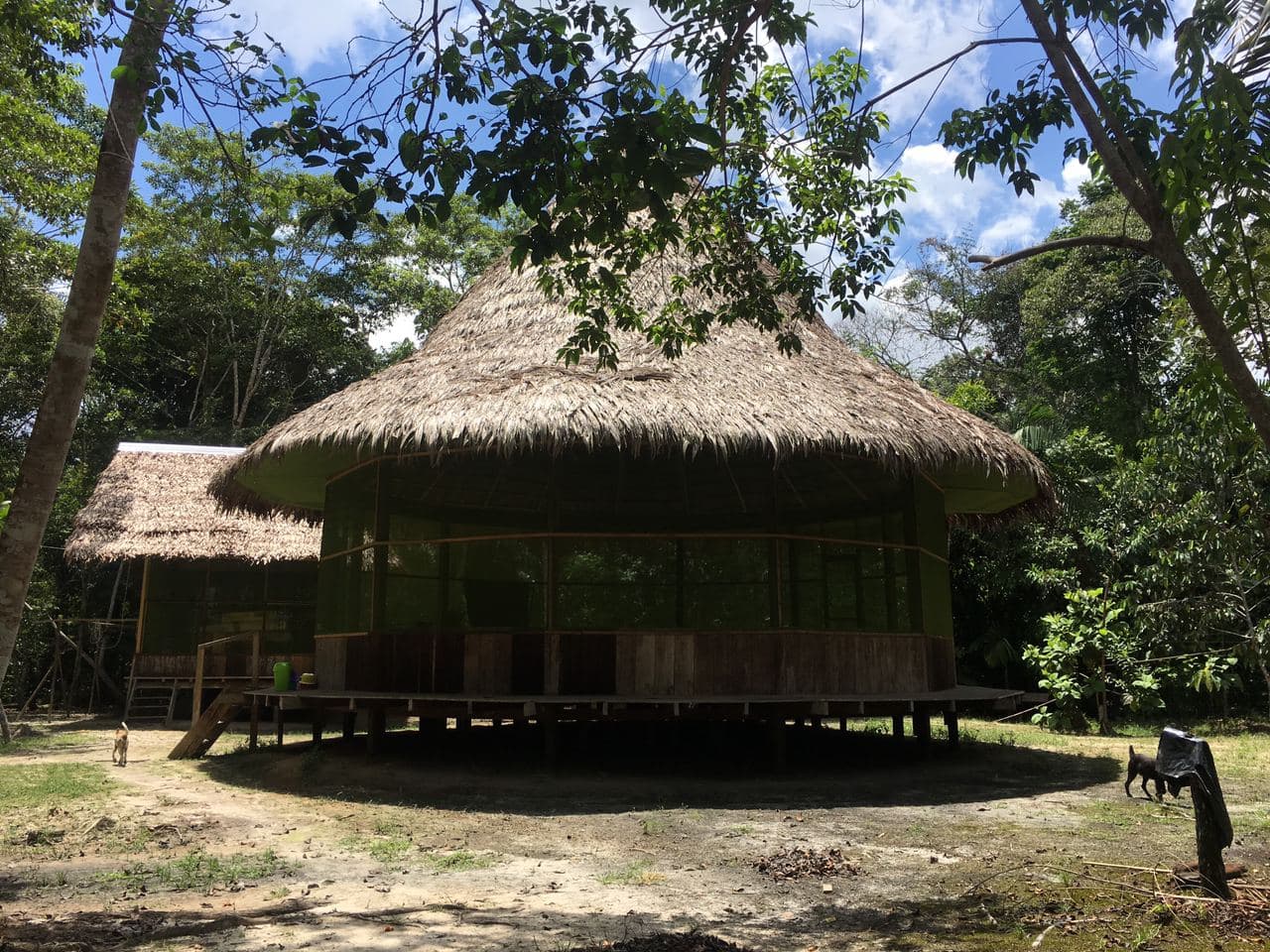 Ayahuasca Ceremony :: www.ayaruna-camp.com